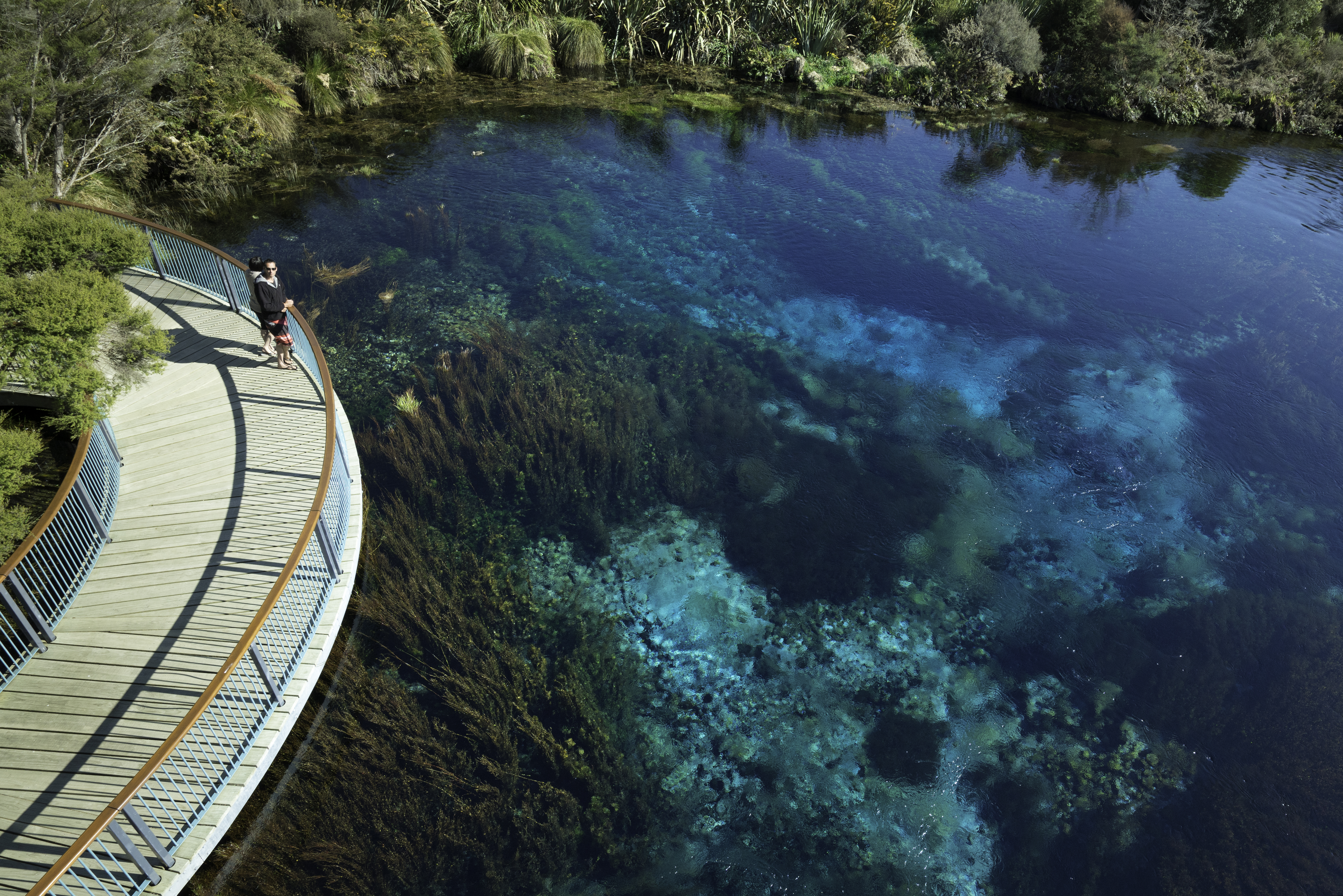 Nelson and Tasman Region | South Island NZ | SOUTH